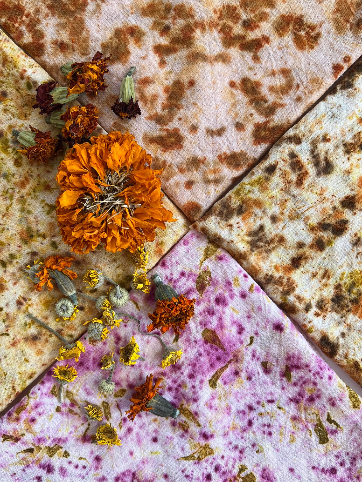 Petal & Hank, A Natural Dye Studio
